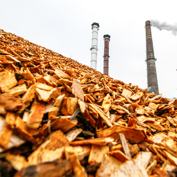 Drying Biomass for Gasification & Renewable Energy Production - STRONGA