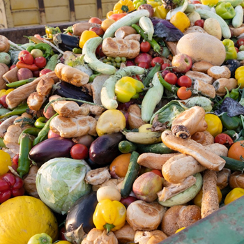 FlowSteama Case Study: Recycling Food & Green Waste in Malta - STRONGA